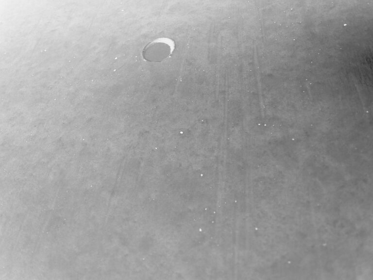 8bppのWriteableBitmapからユーザ領域にデータをコピーして画像処理する | GazoYaro