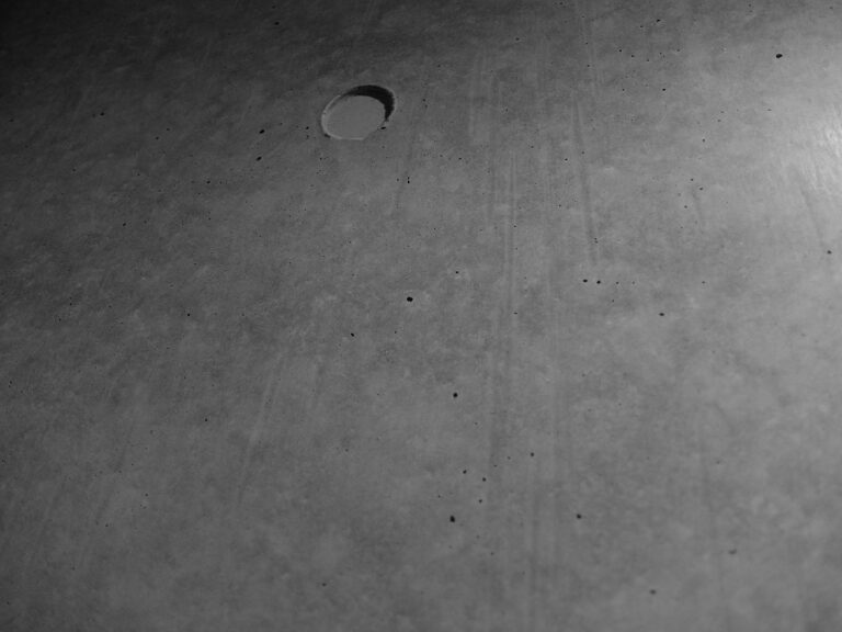 8bppのWriteableBitmapからユーザ領域にデータをコピーして画像処理する | GazoYaro